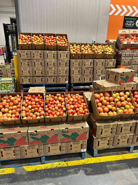 Tomato Cheap Box for Cooking 10kg – Produce King