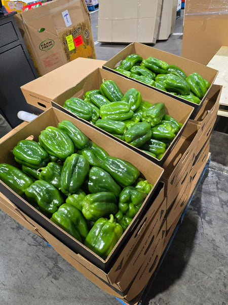 Green Capsicum Box 10kg – Produce King
