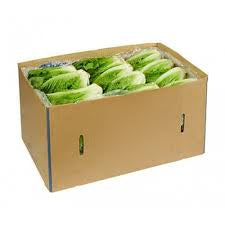 Cos Lettuce Box – Produce King